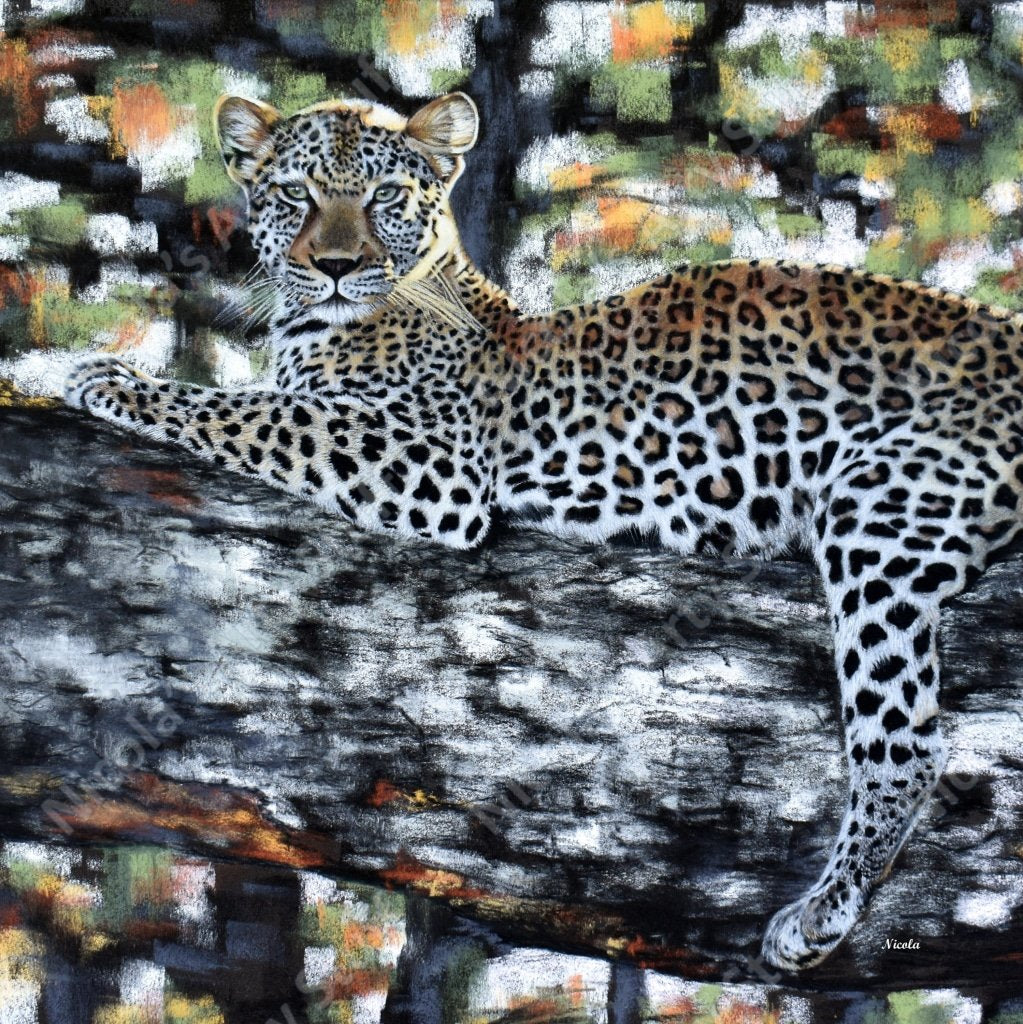 Products – Nicola's Arty Stuff